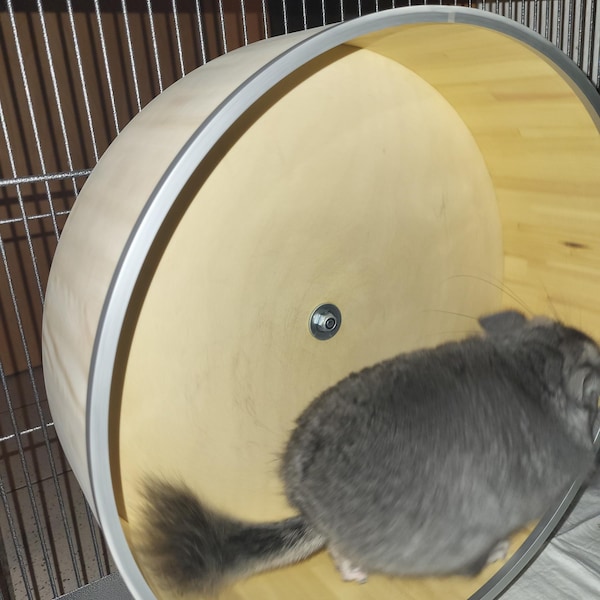16" New Wheel Conception by Rodents Home. Aluminium Hoop Installed ...