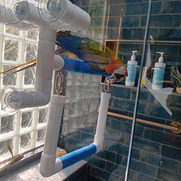 THE MOVER Large: Portable Parrot Perch W/ Cup for Amazons, Cockatoos ...