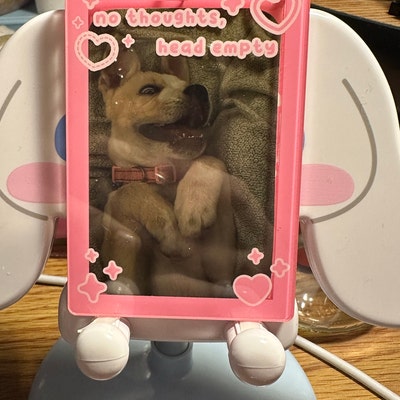 Bunny Peeker Stickers Dutch Rabbit Brown Spotted Bunny White Rabbit Car ...