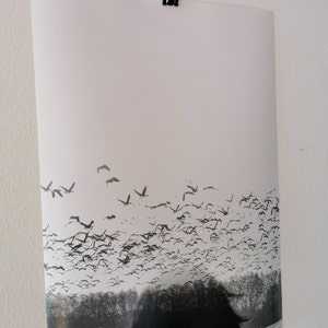 TAPFER & MUTIG Kunstdruck Poster Bild Typografie Fuchs Spruch - Etsy.de