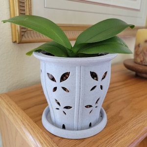 Stackable Mason Bee Cocoon Storage, Hydration Station, 100% ...