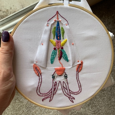Squid Dissection Kits - Etsy