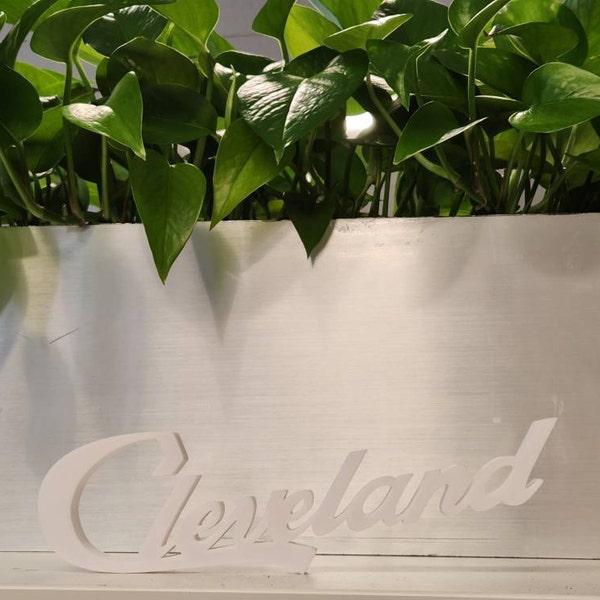 3D Printed Cleveland Ohio Keychain - Ohio 3D Printed Unique Keychain ...
