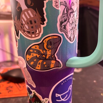 Western Box Turtle Tiny Reptile Enamel Pins - Etsy