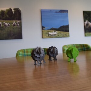 Clever Irish Hand Made 3D Sheep Shape Felt Coaster Quirky Gadget Irish ...