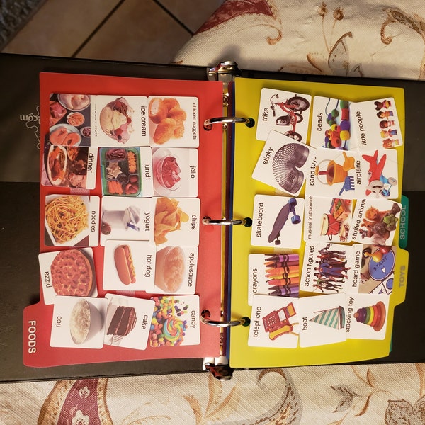 Plastic or Laminating Visual Communication Photo Book With 156 Card ...