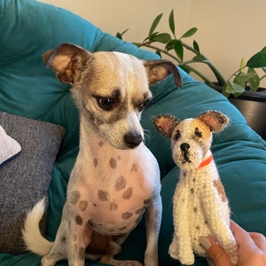 Custom Stuffed Dog Custom Dog Plush Personalized Pet Gift - Etsy