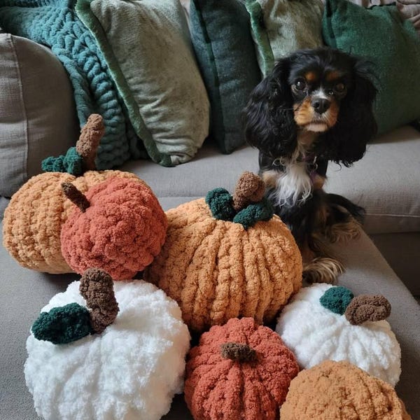 Chunky Knit Pumpkin Video Tutorial/pattern, Learn How to Finger Knit ...