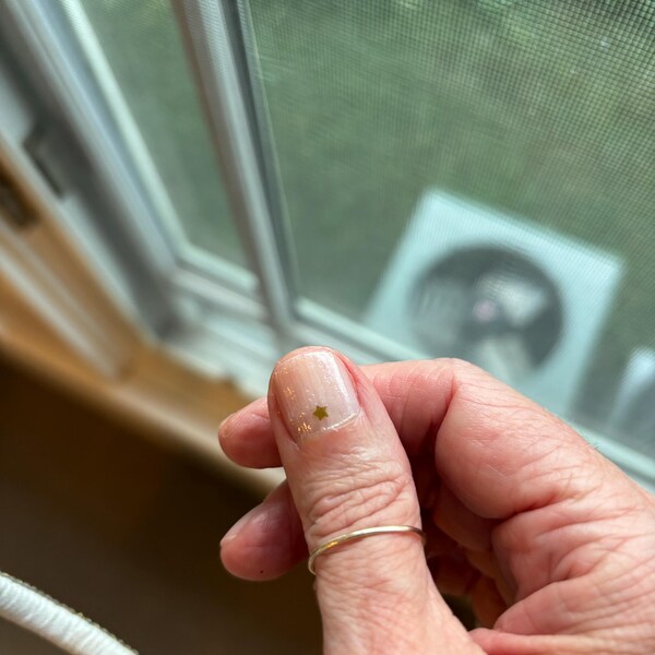 Sleepin' Fox Vinyl Decal | Glossy Car, Laptop, Cottagecore Sticker - Etsy