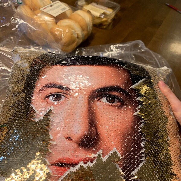 Lin Manuel Miranda Lip Bite Meme Sequin Pillow Cover, Celebrity Sequin ...