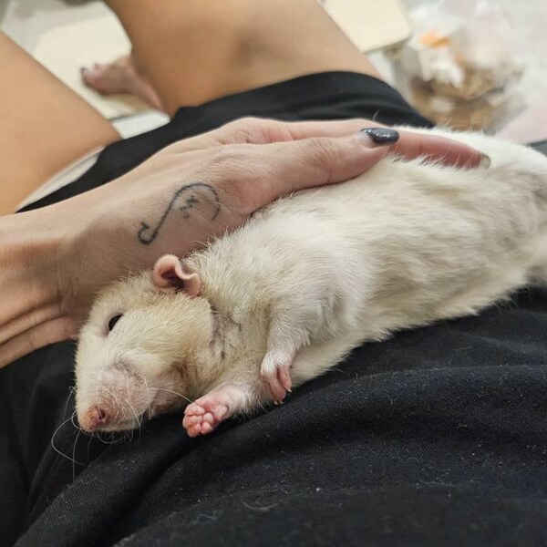 Same Hour Accurate Telepathy Reading, Detailed Mind Reading, Empathy ...