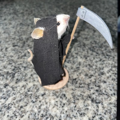 Grim Reaper Taxidermy Mouse - Etsy