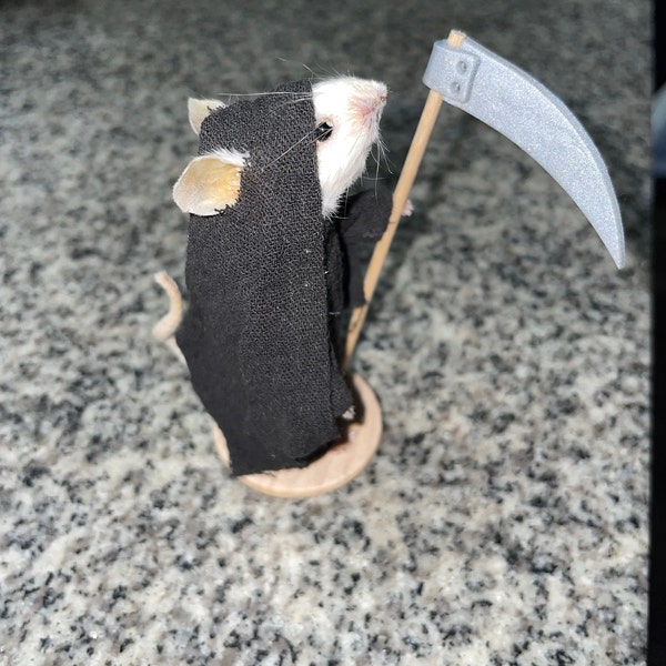 Grim Reaper Taxidermy Mouse - Etsy