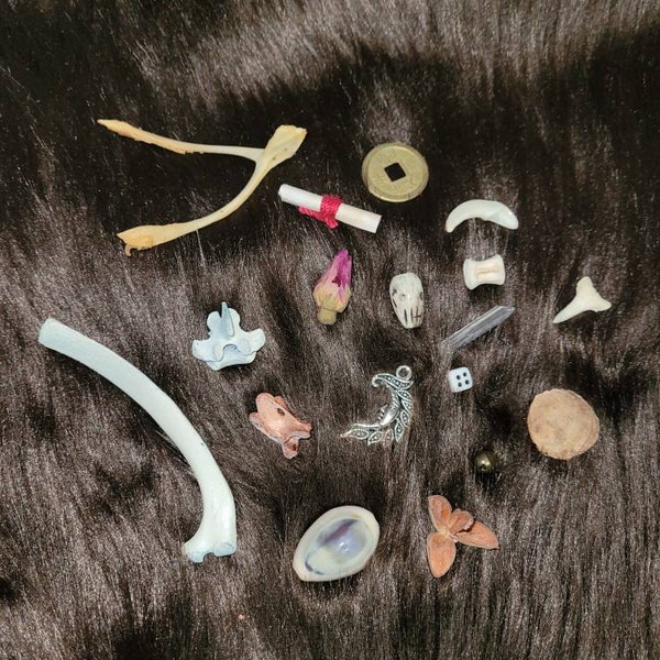 Learn Bone Throwing, A Beginner's Guide to Bone Throwing Book, How to Throw Bones, Ancient ...