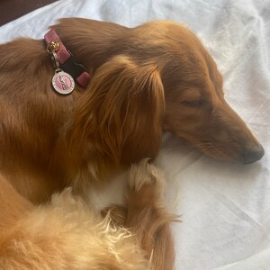 Guardian Angel Pet Tag in Gold Finish Guardian Angel Dog Tag Pet ID Tag ...