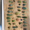 Succulent Leaf Starters Propagation - Etsy