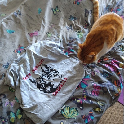 Sad Cat Emoji Ascii Art Cat T-shirt - Etsy