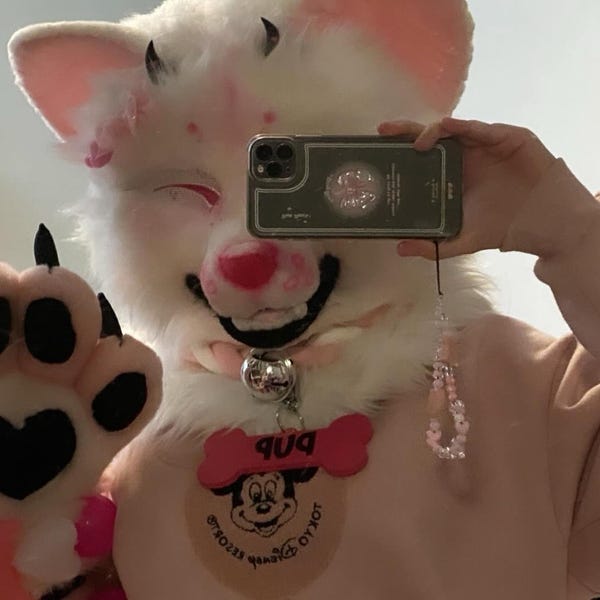 Fursuit Head Base With Back Head, Eva Ears, Eva Cheeks, Fursona Mask ...