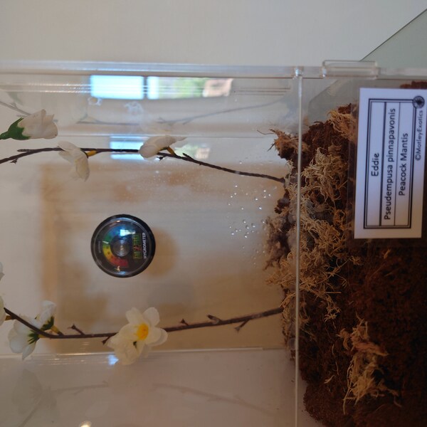 Small Terrarium Label Laminated Enclosure Label Exotic Pet Informative ...