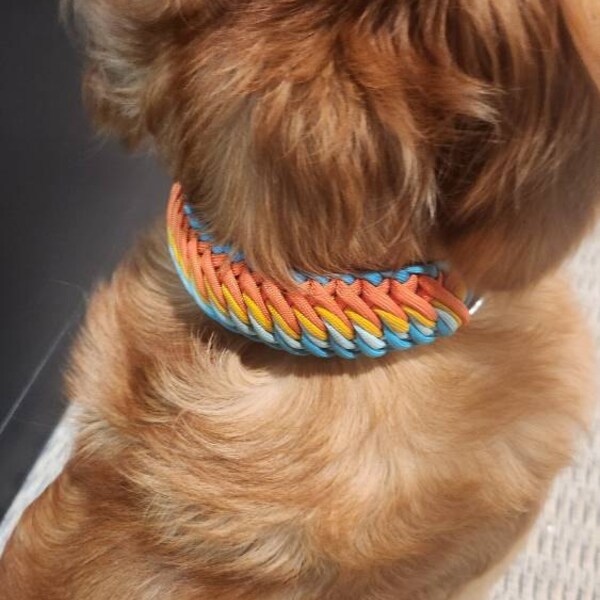 Paracord Dog Martingale All-in-one Leash Collar Combo Dog Agility Dog ...