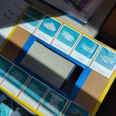 Cat Unit Study - Etsy