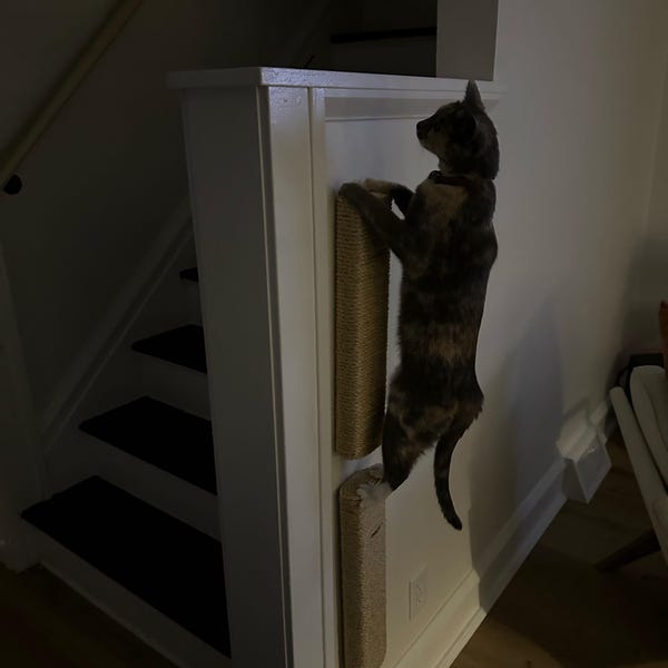 Cat Stairs / Wall-mounted Cat Steps/ Cat Furniture / Cat Scratching ...