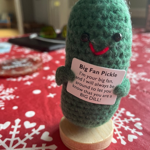 Emotional Support Pickle,positive Pickle,big Fan Pickle,handmade ...