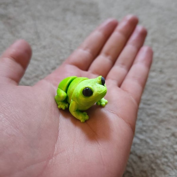 Fidget Frog Fidget Toy, Articulated Sensory Toy, Tiny Frogs, Flexible Frog, Desk Fidget Toy ...
