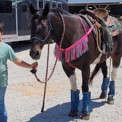 Neon Hot Pink Barrel Reins With Grip Knots - Etsy