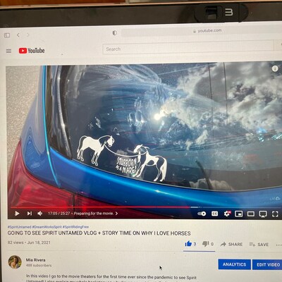 Paint War Pony Decal stubborn as a Mare Equine, Horse Vinyl Decal ...