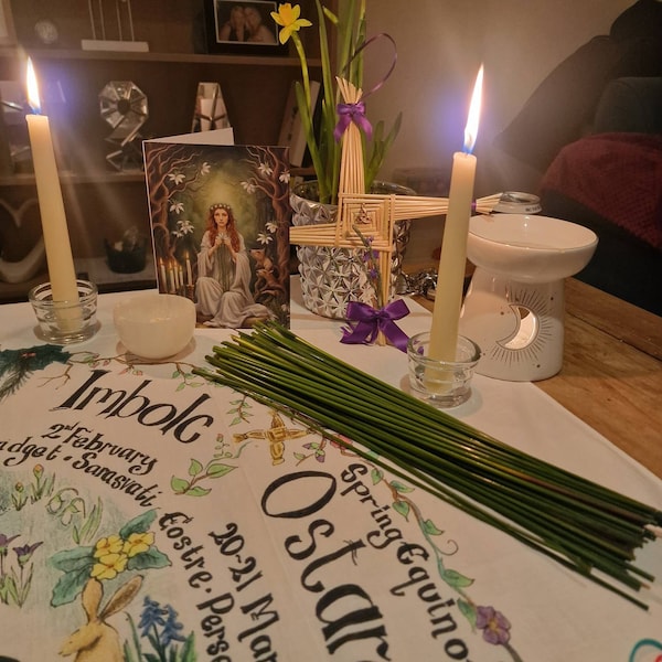 Devil Pod / Bat Nut / Water Caltrop /trapa Bicornis - Protective Amulet ...