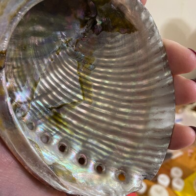Abalone Shell Perfect for Smudge Sticks Alter Tool High Quality One ...