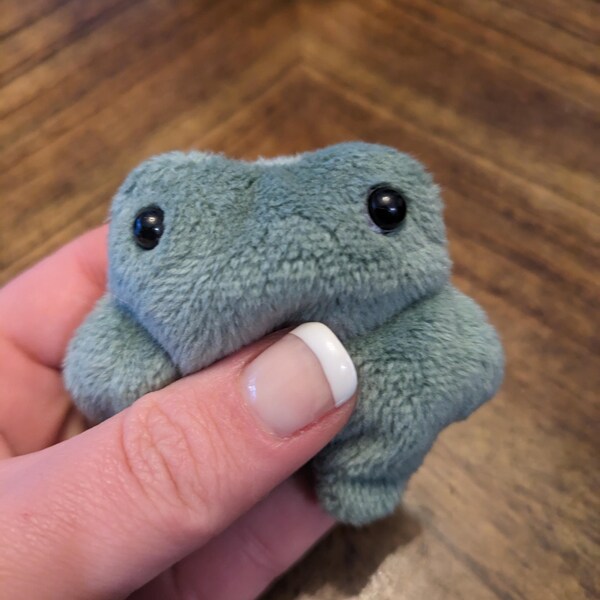 Pocket Frog Plush Toy, Worry Pet, Weighted Animal, Travel Companions ...