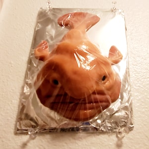 Platinum Silicone Blobfish Prop Cool Desk Item Gift Handmade Realistic ...