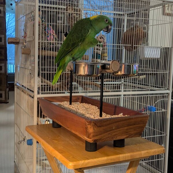 Small Whitewashed Parrot Stand Modern Parrot Stand Portable Parrot ...