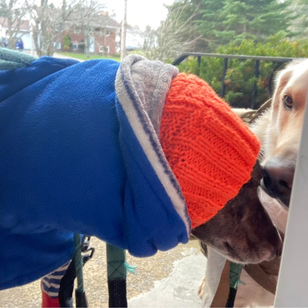 Greyhound Snood. Wool Neck Warmer. Galgo Whippet. Winter Dog Scarf ...