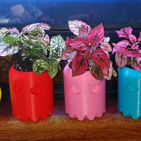 Pac-man Pacman Inky Blinky Pinky & Clyde Flower Succulent Pot Planter ...
