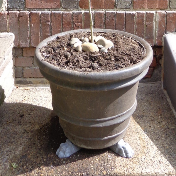 Pot Risers, Pot Feet, Concrete Flower Pot Feet, Lion Paw Pot Risers ...