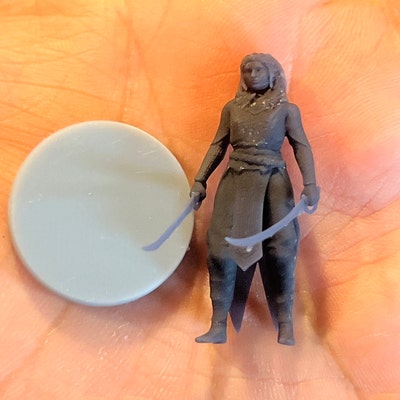 Custom 3D Printed BG3 Baldur's Gate 3 III Shadowheart Miniature/statue ...