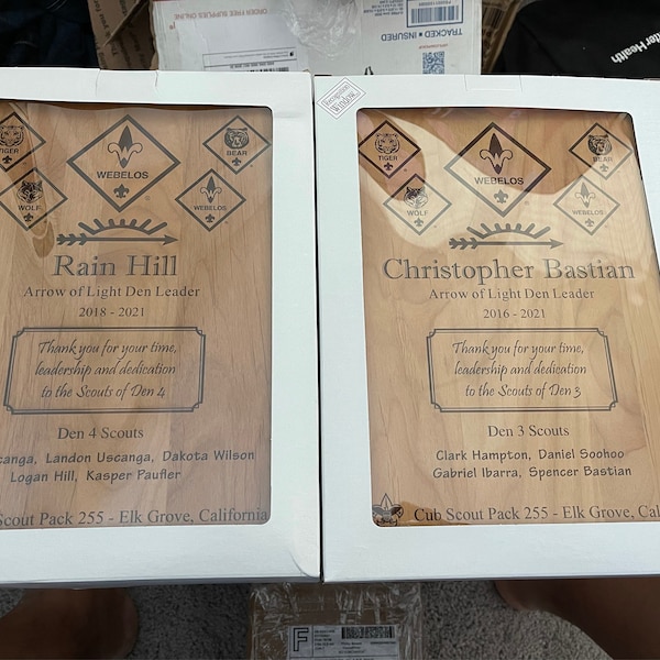 BSA Licensed AOL Den Leader Cub Scouts Plaque With Rank Insignia and ...