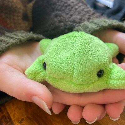 Baby Bean Frog. Cute Soft Fluffy Frog Filled With Plastic - Etsy
