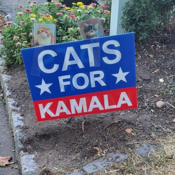 Personalized Social Media Selfie Frame, Instagram Frame, Facebook Frame ...