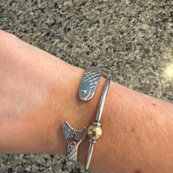 Cape Cod Fish Bracelet - Solid 925 Silver & Real 14k Gold Eye - Cape ...