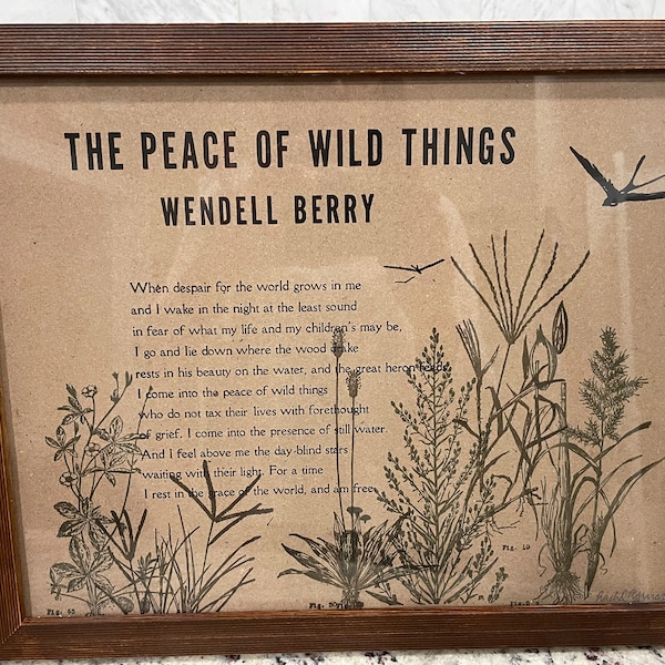 The Peace of Wild Things • wendell Berry Poem • Giclee Edition of ...