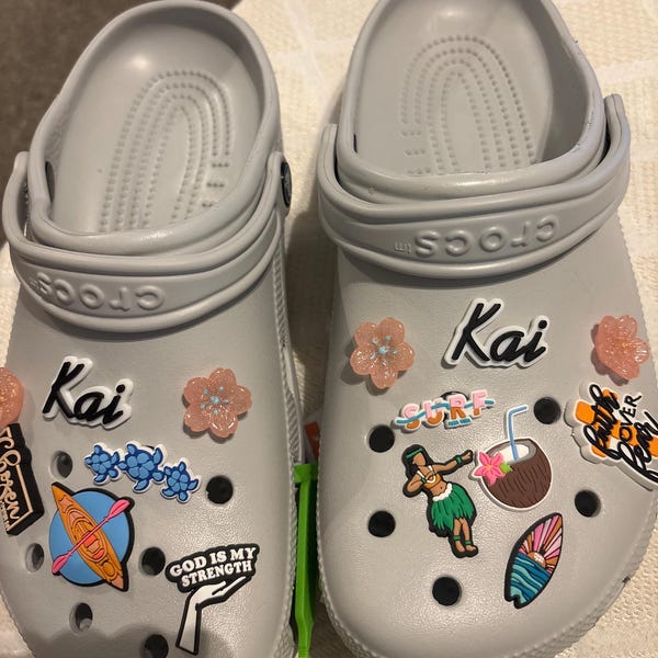 Cute Cartoon Shoe Buckles Set With Chain,crystal Animal Shoe Charms ...
