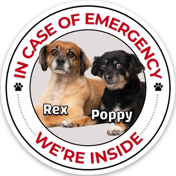 Save 2 Cats STICKER, Pet Emergency, Pet Alert for Home, in Case of ...