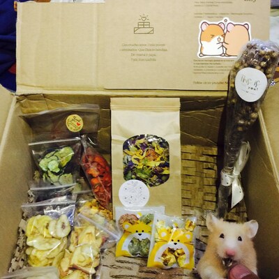 Hamster Treat Box Flaxspray Foraging Flowers Rosehips Dried Fruit ...