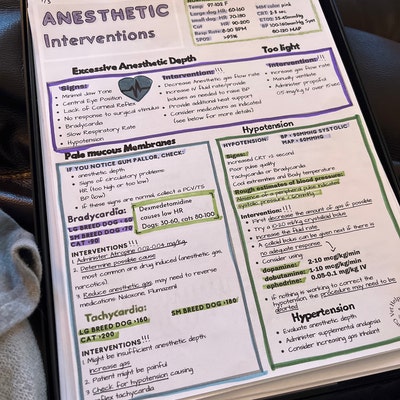 Vet Med Acronym Suffix Prefix Veterinary Cheat Sheet Vet Tech Notes ...