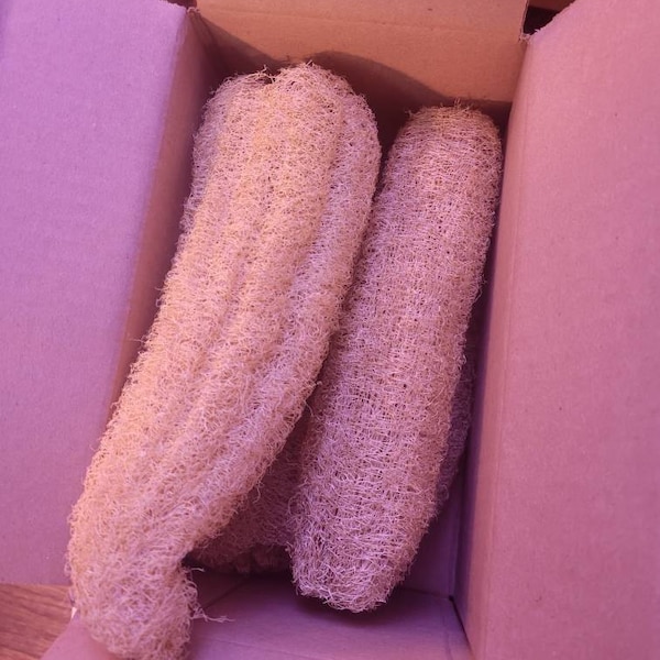 Editable Classroom Donation Printable | Teacher Wish List Items | Meet ...