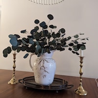 Fresh Leather Leaf Fern baker Fern Bunches free Shipping - Etsy